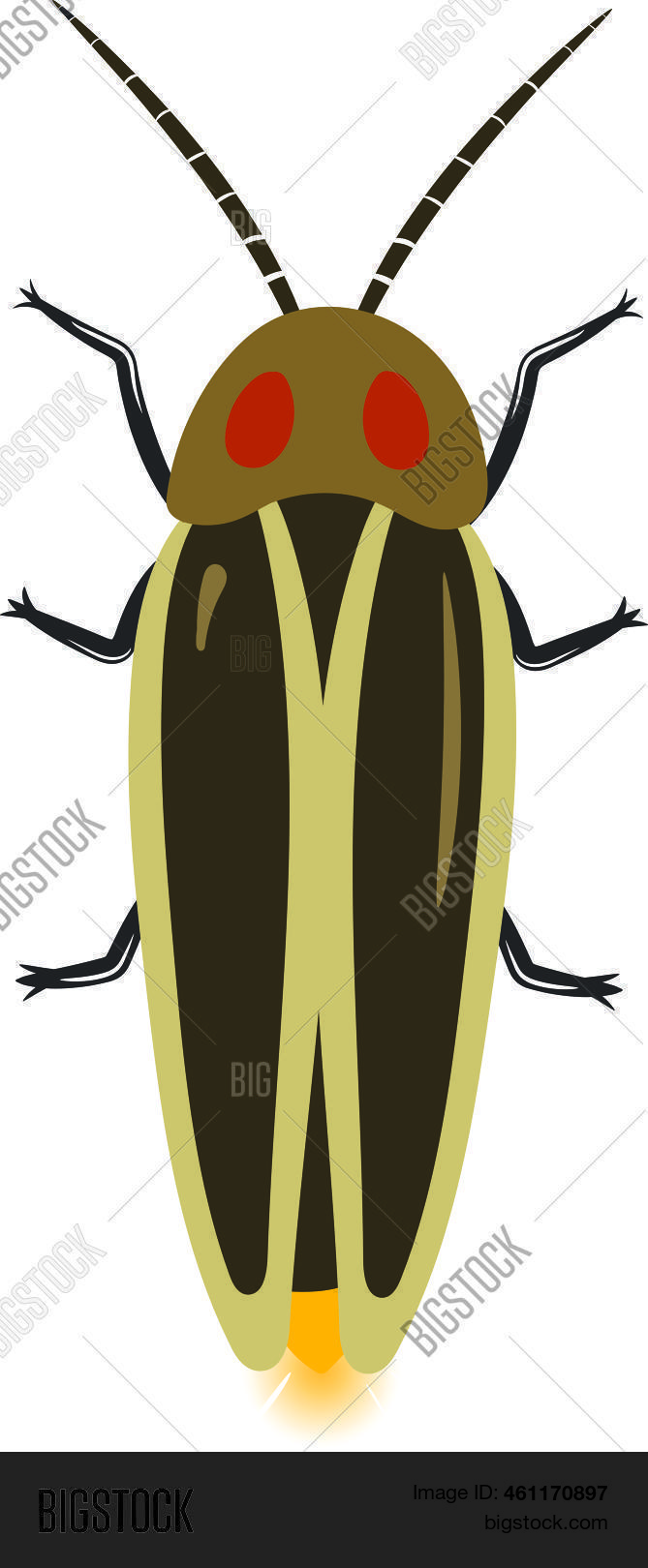 Vector y foto Realistic Firefly (prueba gratis) | Bigstock