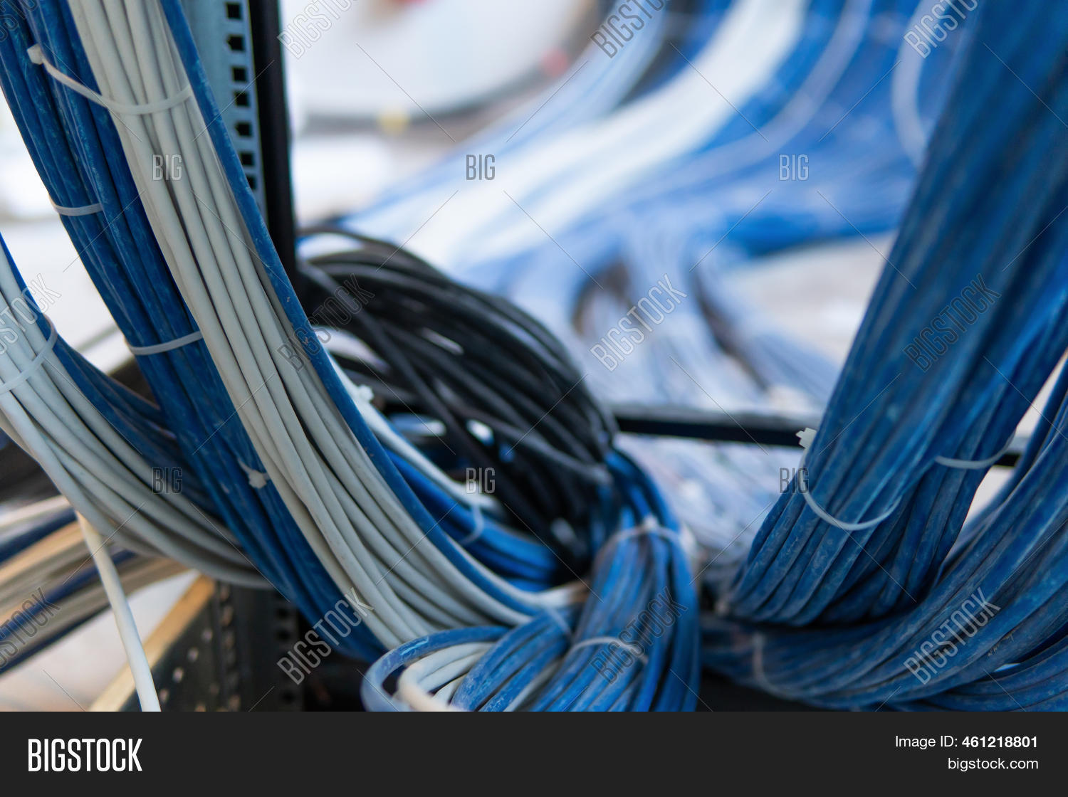 Large Group Utp Cables Image & Photo (Free Trial) | Bigstock