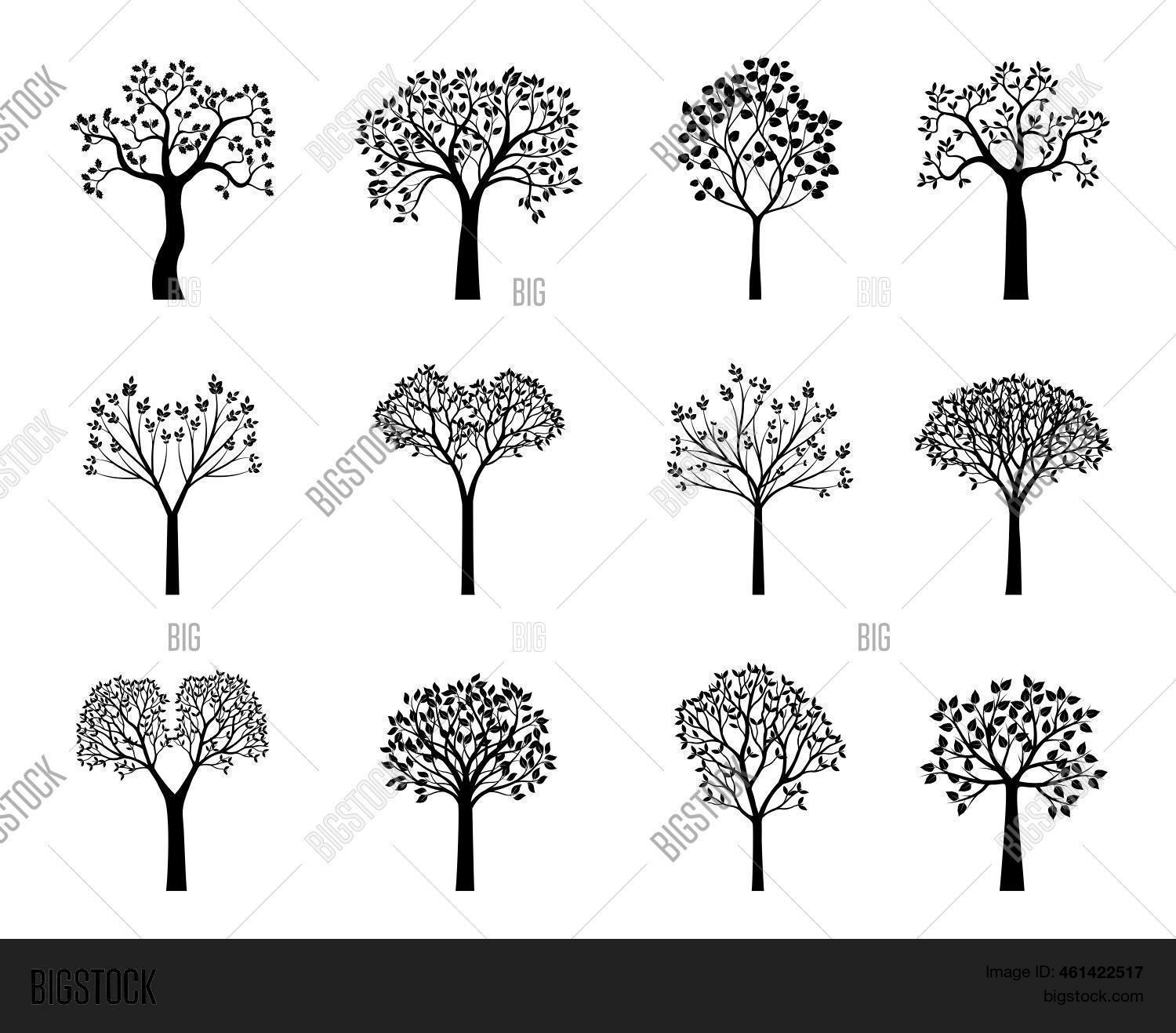 Set Black Trees. Vector & Photo (Free Trial) | Bigstock