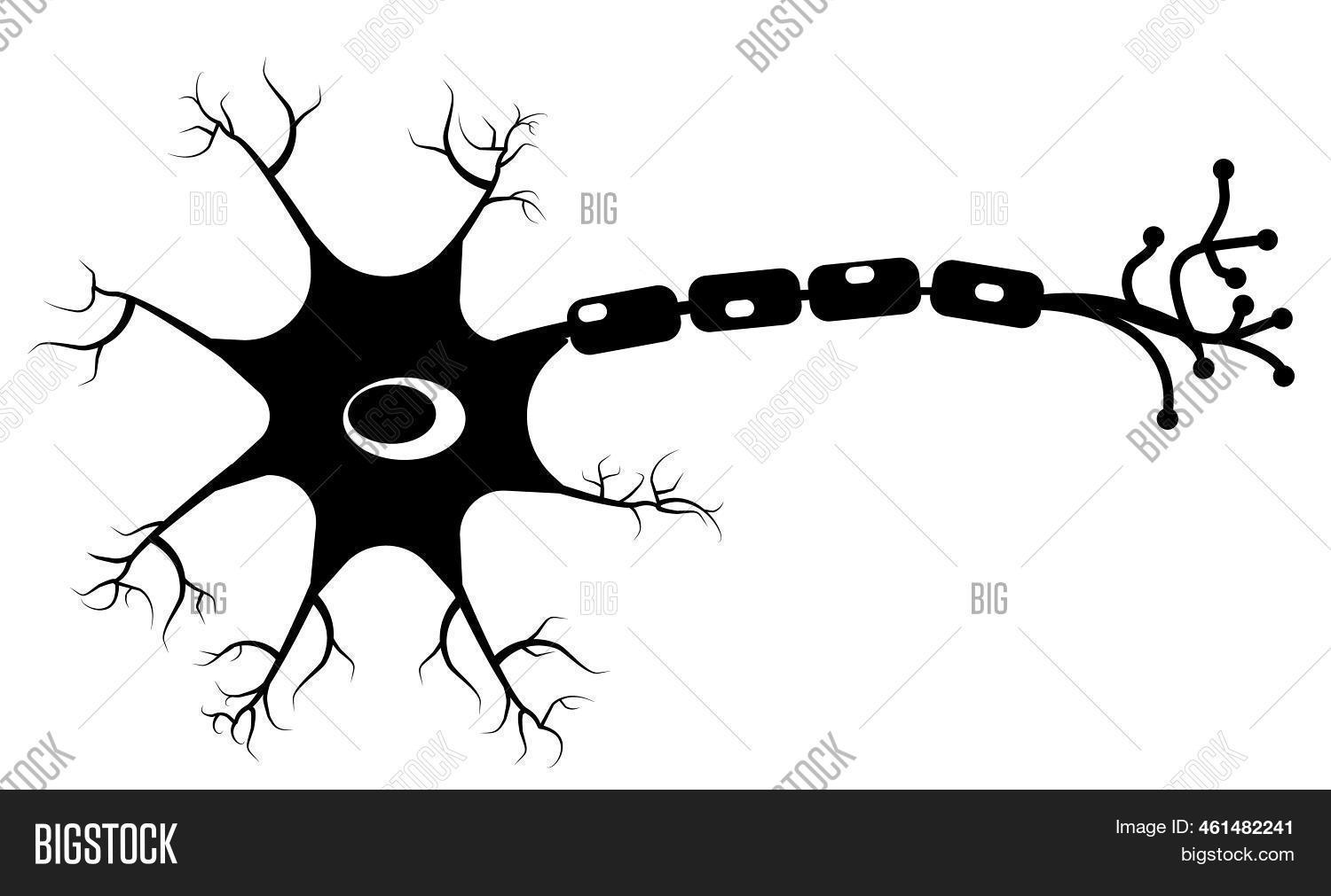 Neuron Icon On White Image & Photo (Free Trial) | Bigstock