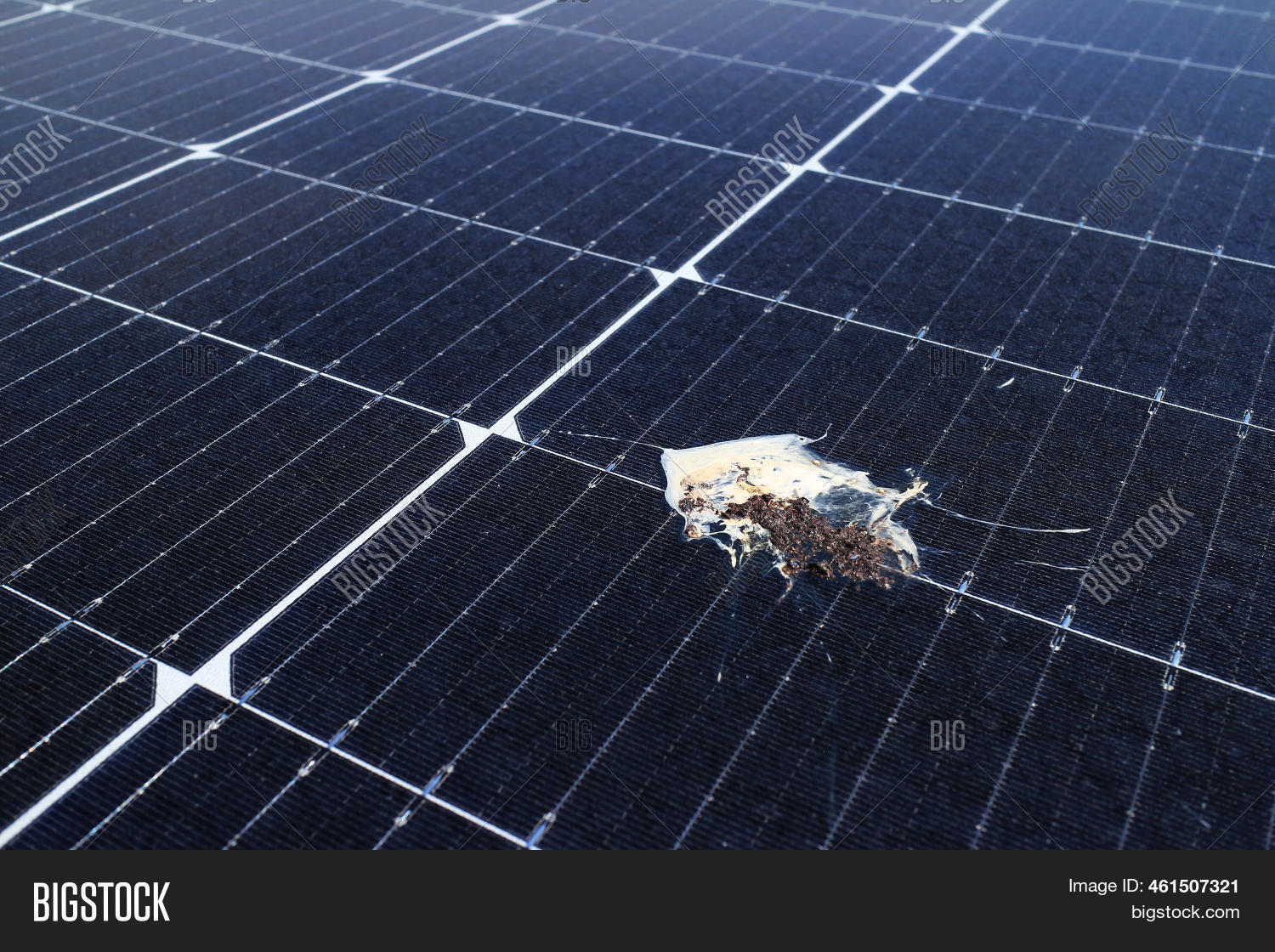 Bird Poop On Solar Pv Image & Photo (Free Trial) | Bigstock