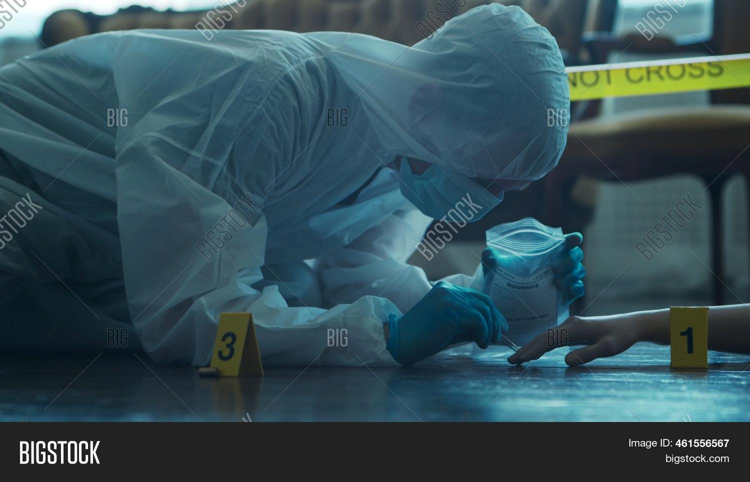 Detective Collecting Image & Photo (Free Trial) | Bigstock