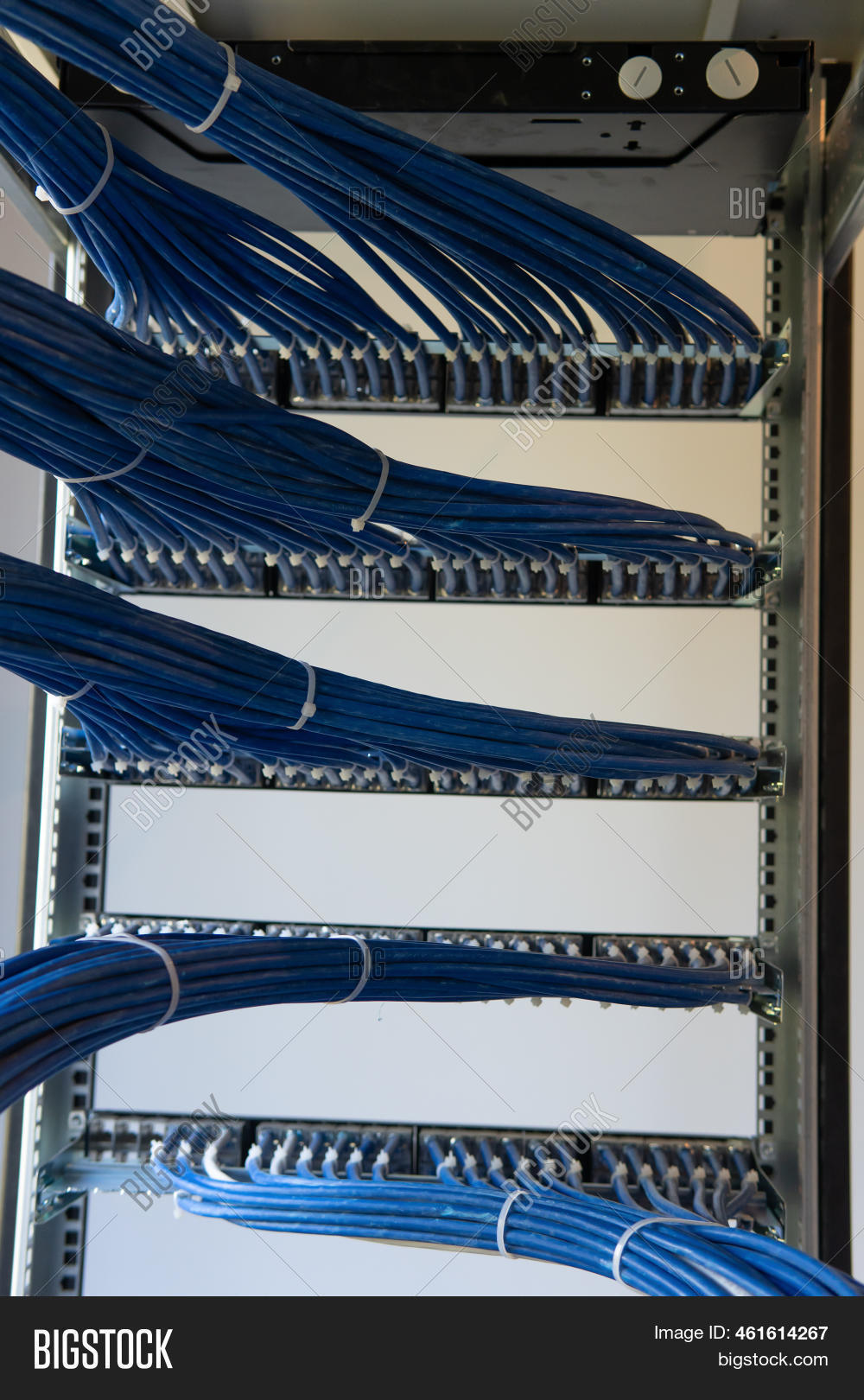 Large Group Utp Cables Image & Photo (Free Trial) | Bigstock