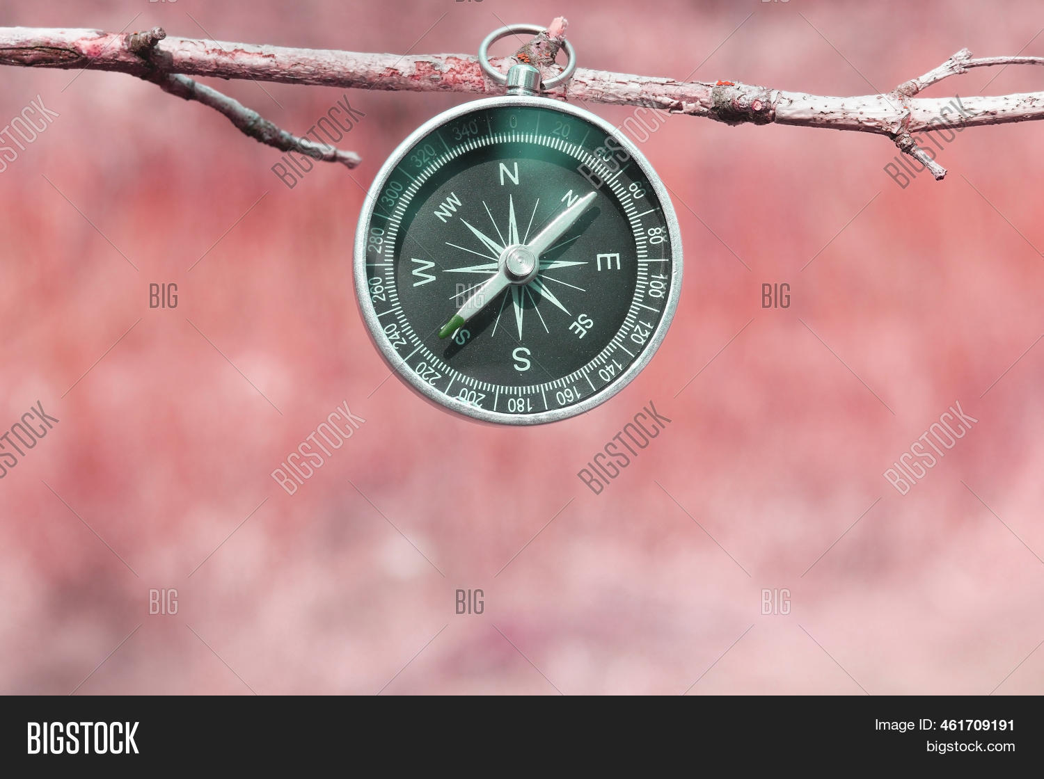 Round Compass On Image & Photo (Free Trial) | Bigstock