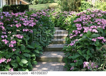 Purple Pathways Images, Illustrations & Vectors (Free) - Bigstock