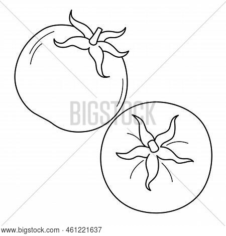 Cute Funny Coloring Vector & Photo (Free Trial) | Bigstock