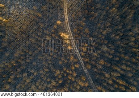 Aerial View Forest Image & Photo (Free Trial) | Bigstock