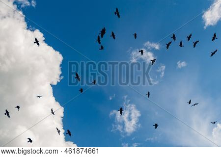 Disturbing Sunset Sky Image & Photo (Free Trial) | Bigstock