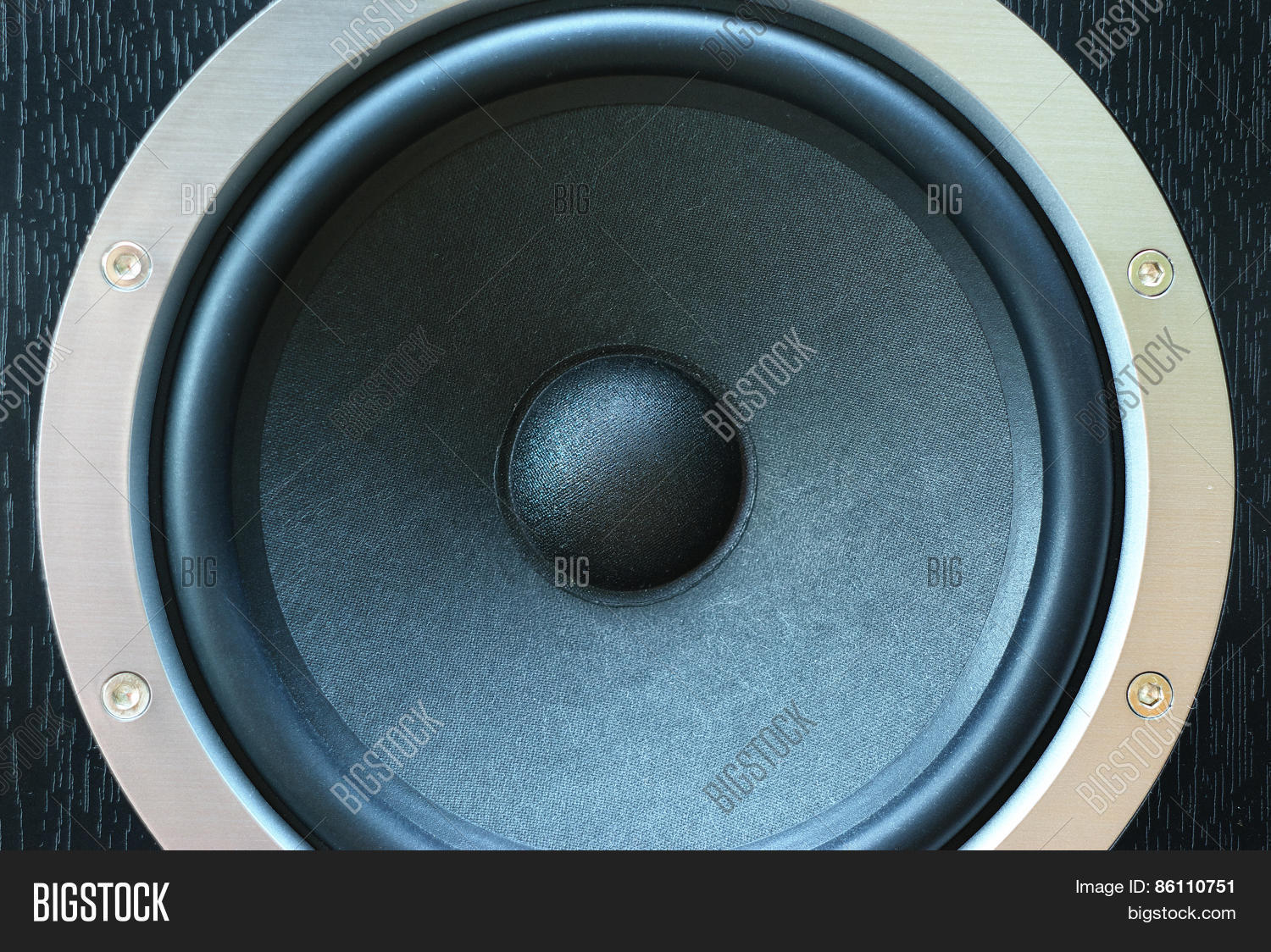 Speaker Image & Photo (Free Trial) | Bigstock