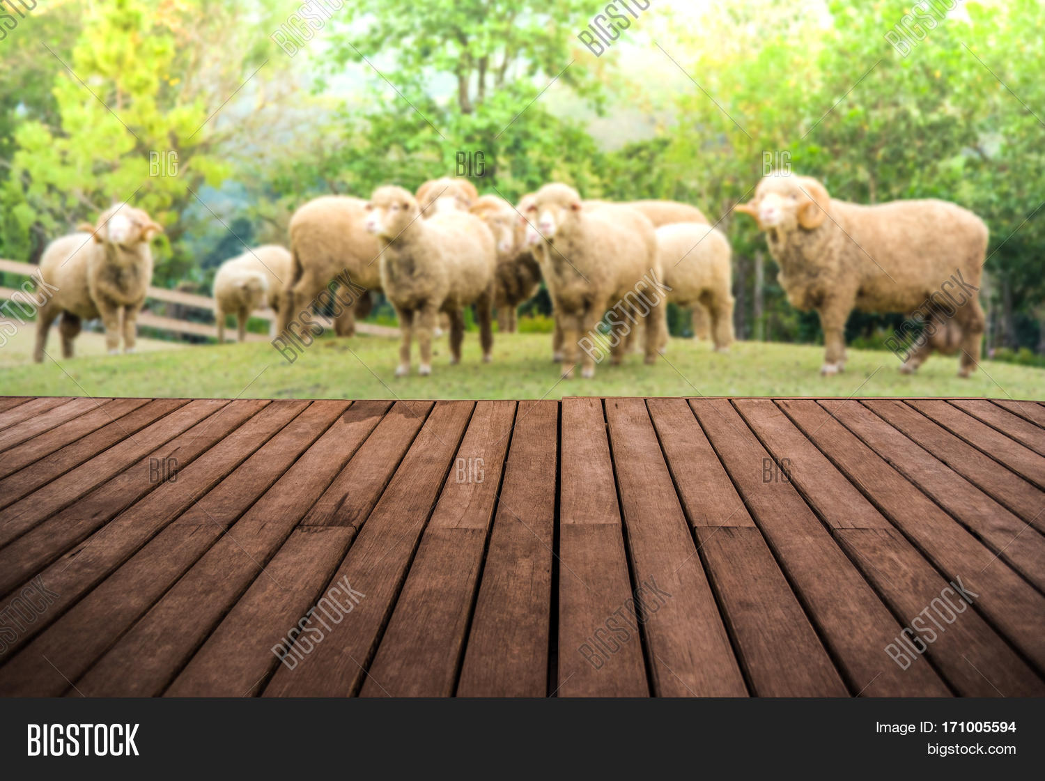 Perspective Empty Image & Photo (Free Trial) | Bigstock