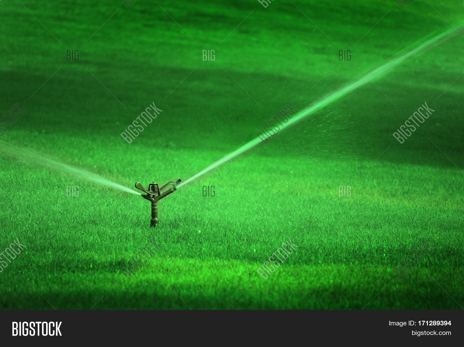 Sprinker Spraying Image & Photo (Free Trial) | Bigstock