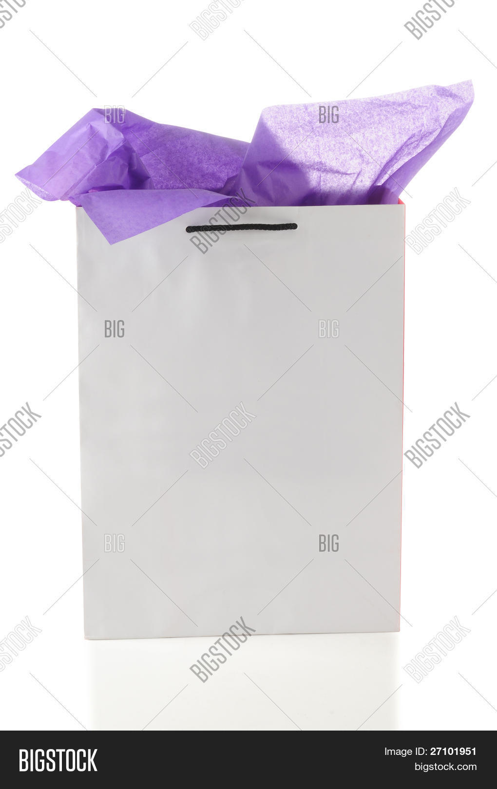 Gift Bag. Isolated Image & Photo (Free Trial) | Bigstock