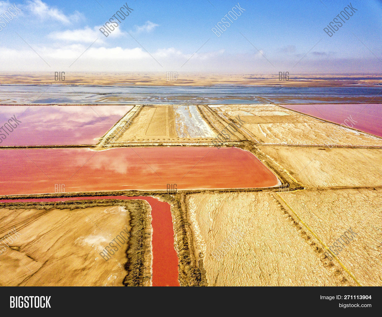Pink Salt Filed Walvis Image & Photo (Free Trial) | Bigstock