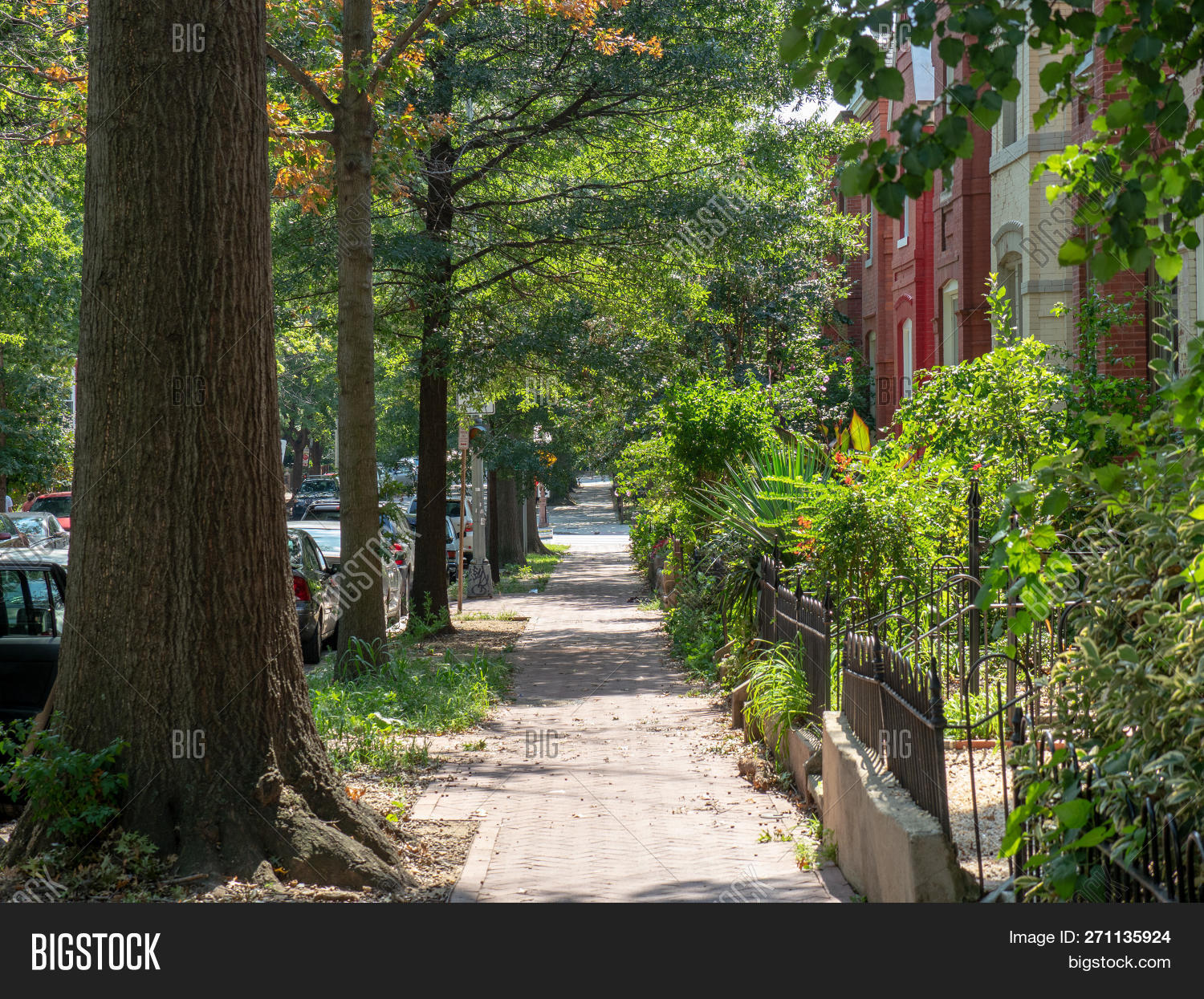 Scenic Neighborhood Image & Photo (Free Trial) | Bigstock