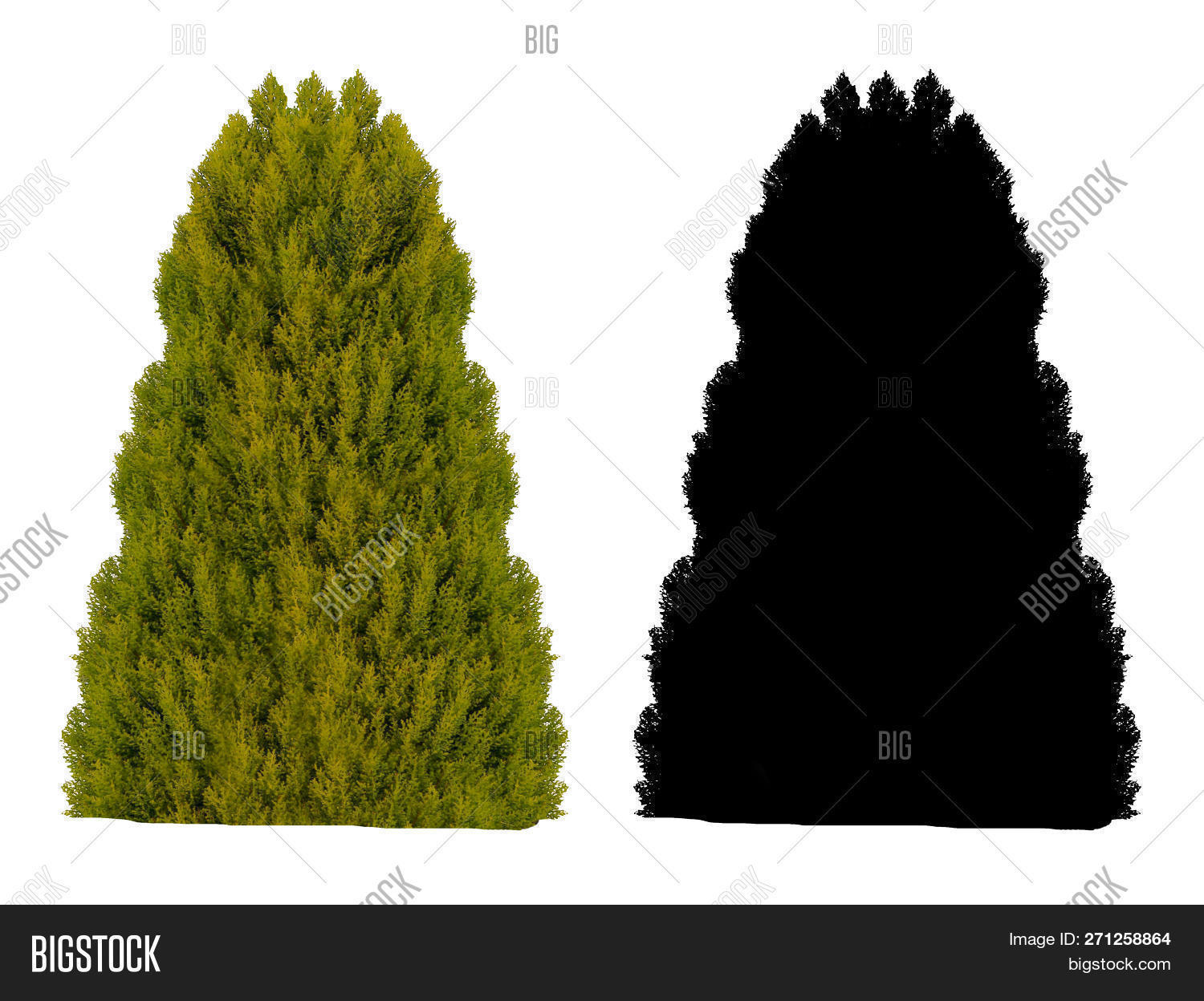 Christmas Tree Alpha Image & Photo (Free Trial) | Bigstock
