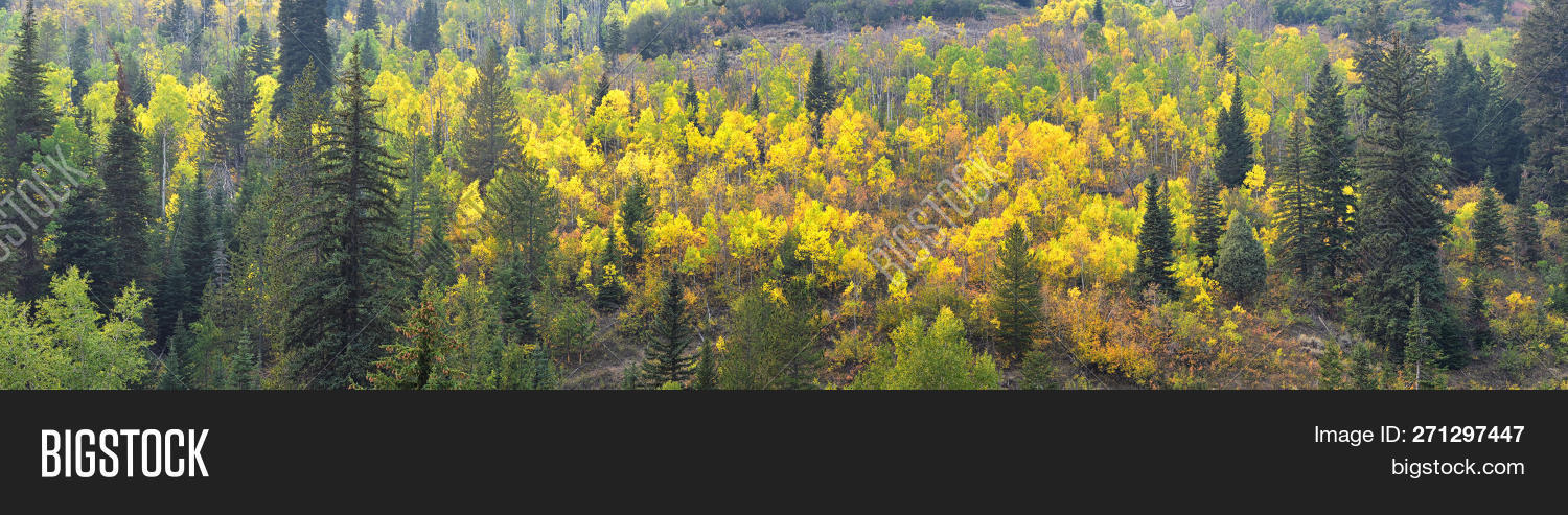 Late Summer Early Fall Image & Photo (Free Trial) | Bigstock
