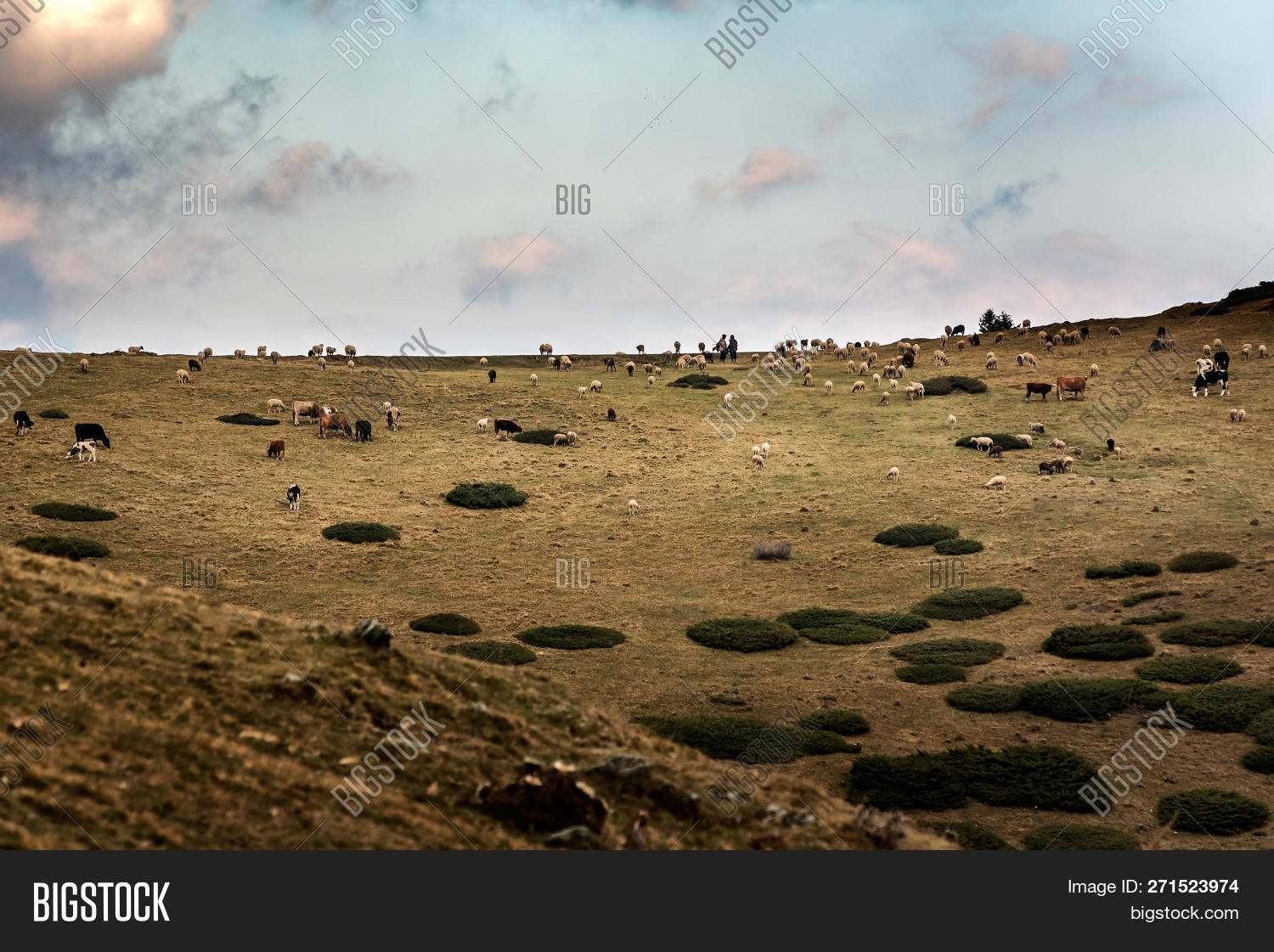 Sar Mountains, Sar Image & Photo (Free Trial) | Bigstock