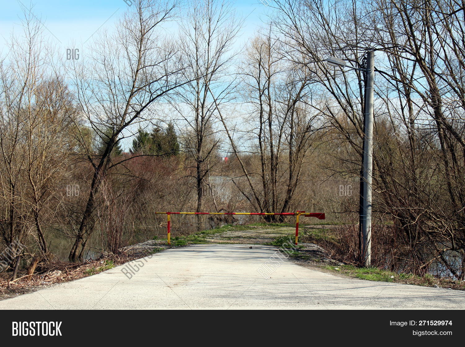 Overgrown Road Image & Photo (Free Trial) | Bigstock