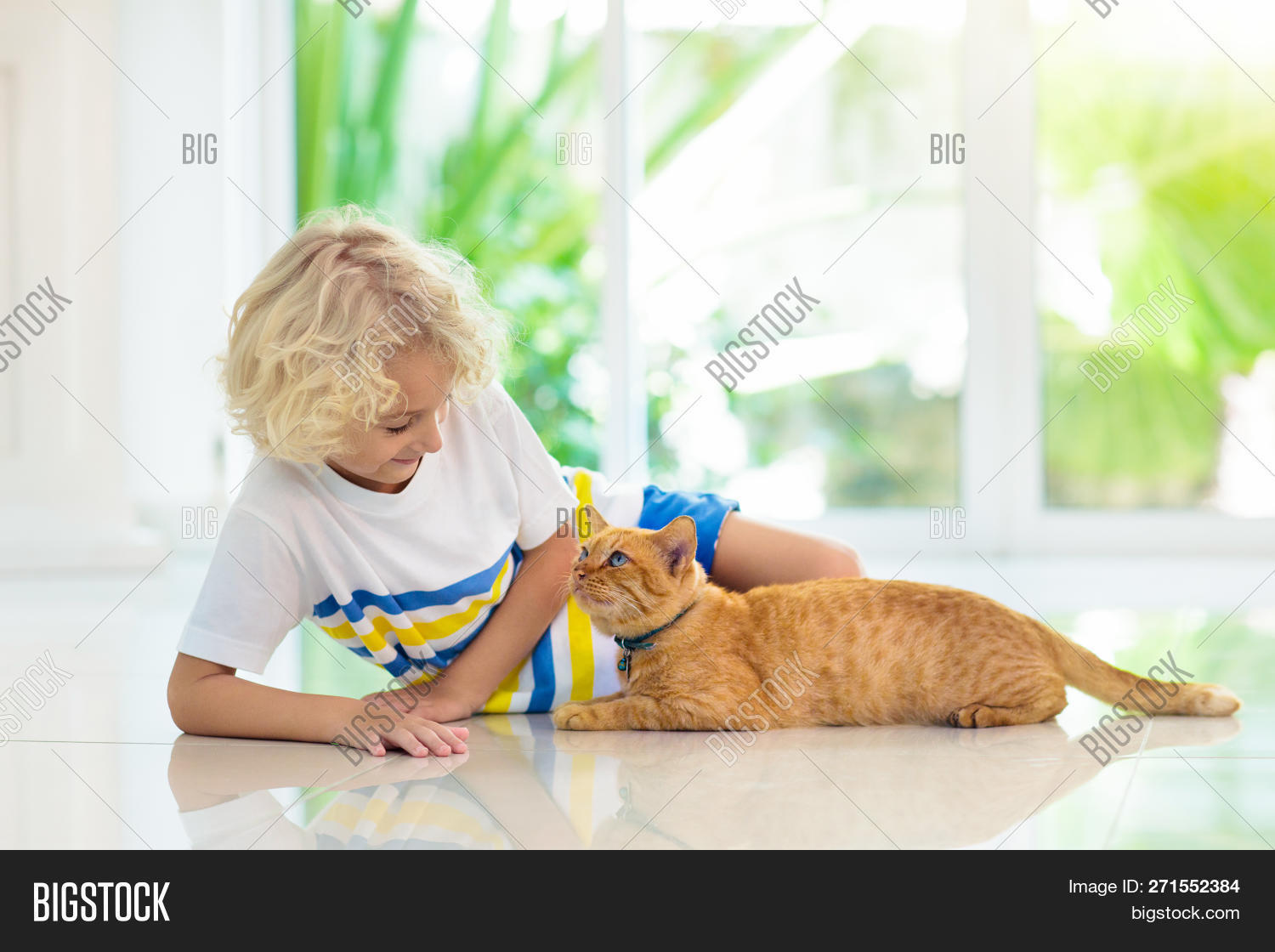 Child Feeding Home Cat Image & Photo (Free Trial) | Bigstock