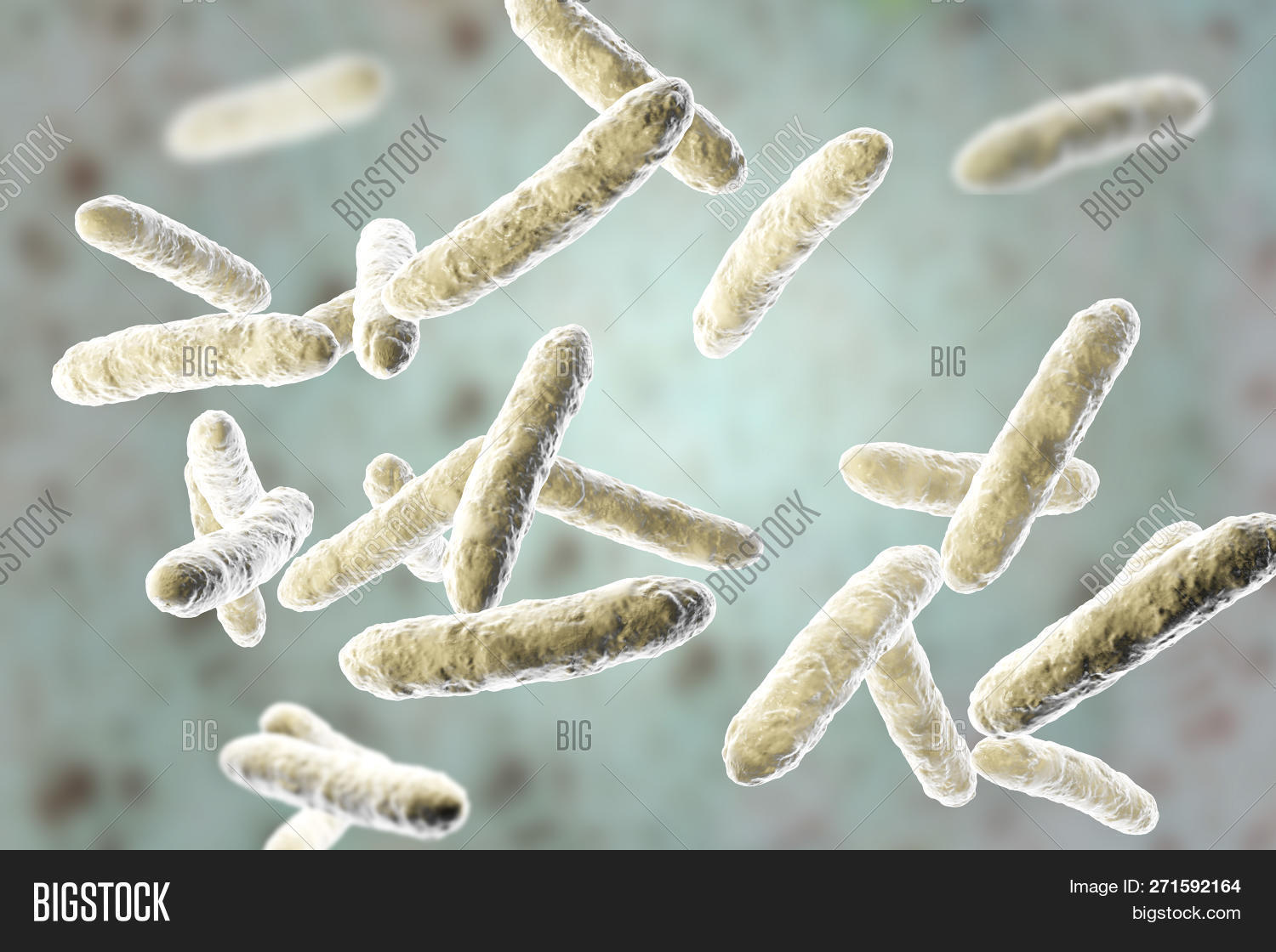 Probiotic Bacteria, Image & Photo (Free Trial) | Bigstock