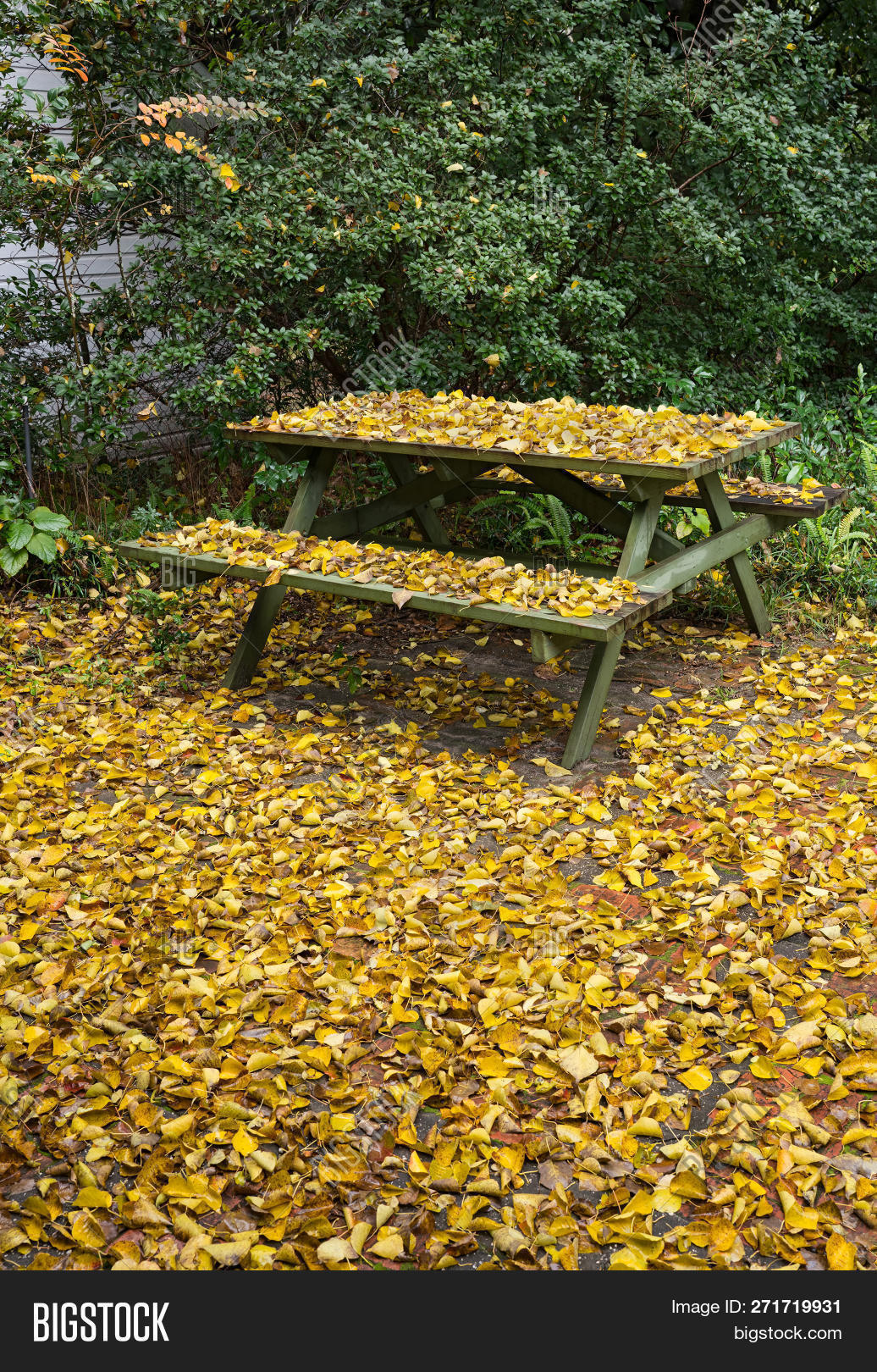 Backyard Picnic Table Image & Photo (Free Trial) | Bigstock