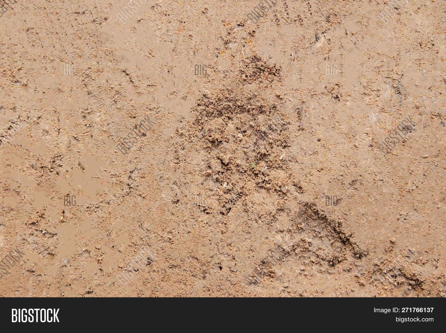Texture Ground Image & Photo (Free Trial) | Bigstock