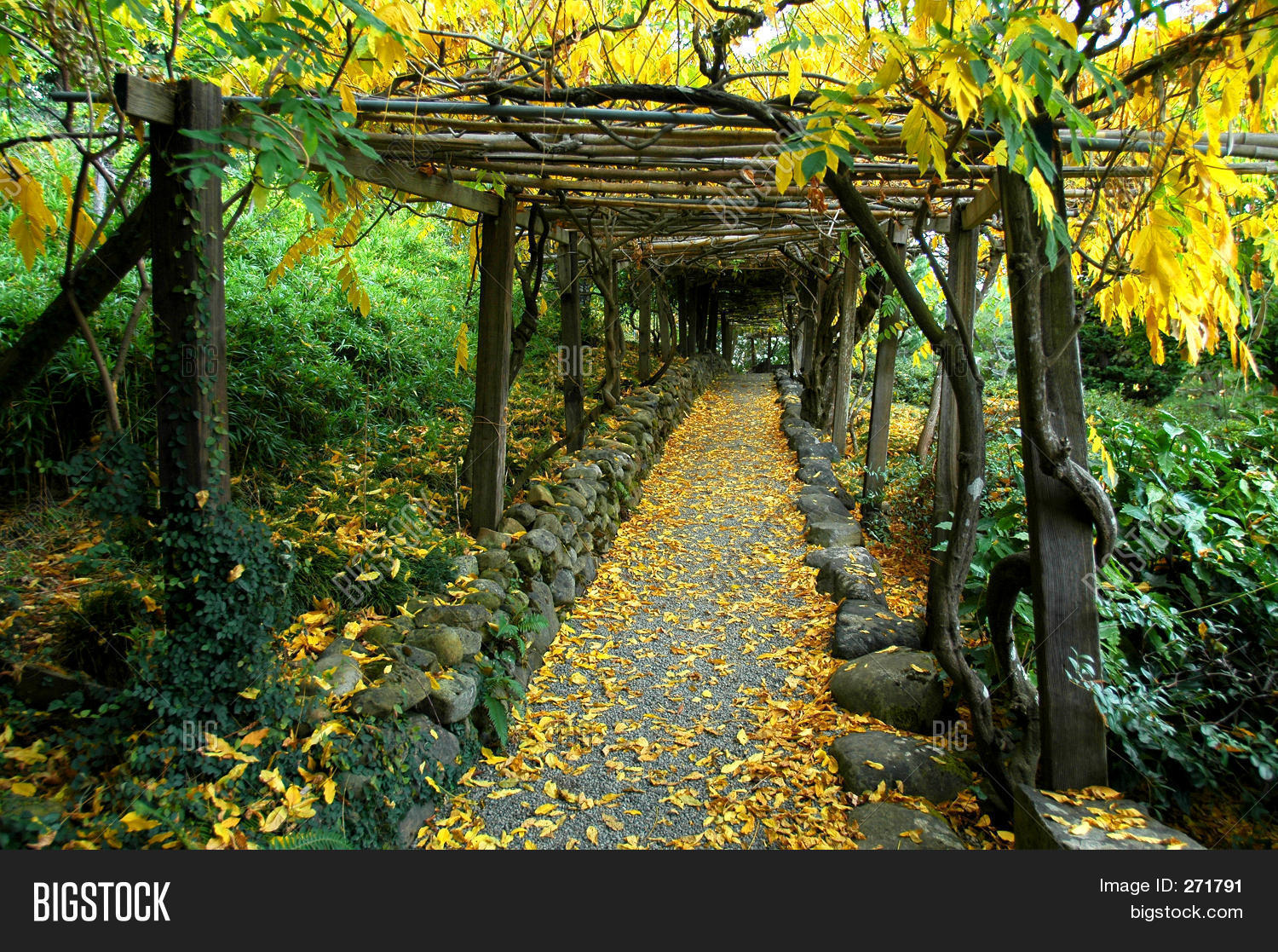 Japanese Garden Arbor Image & Photo (Free Trial) | Bigstock