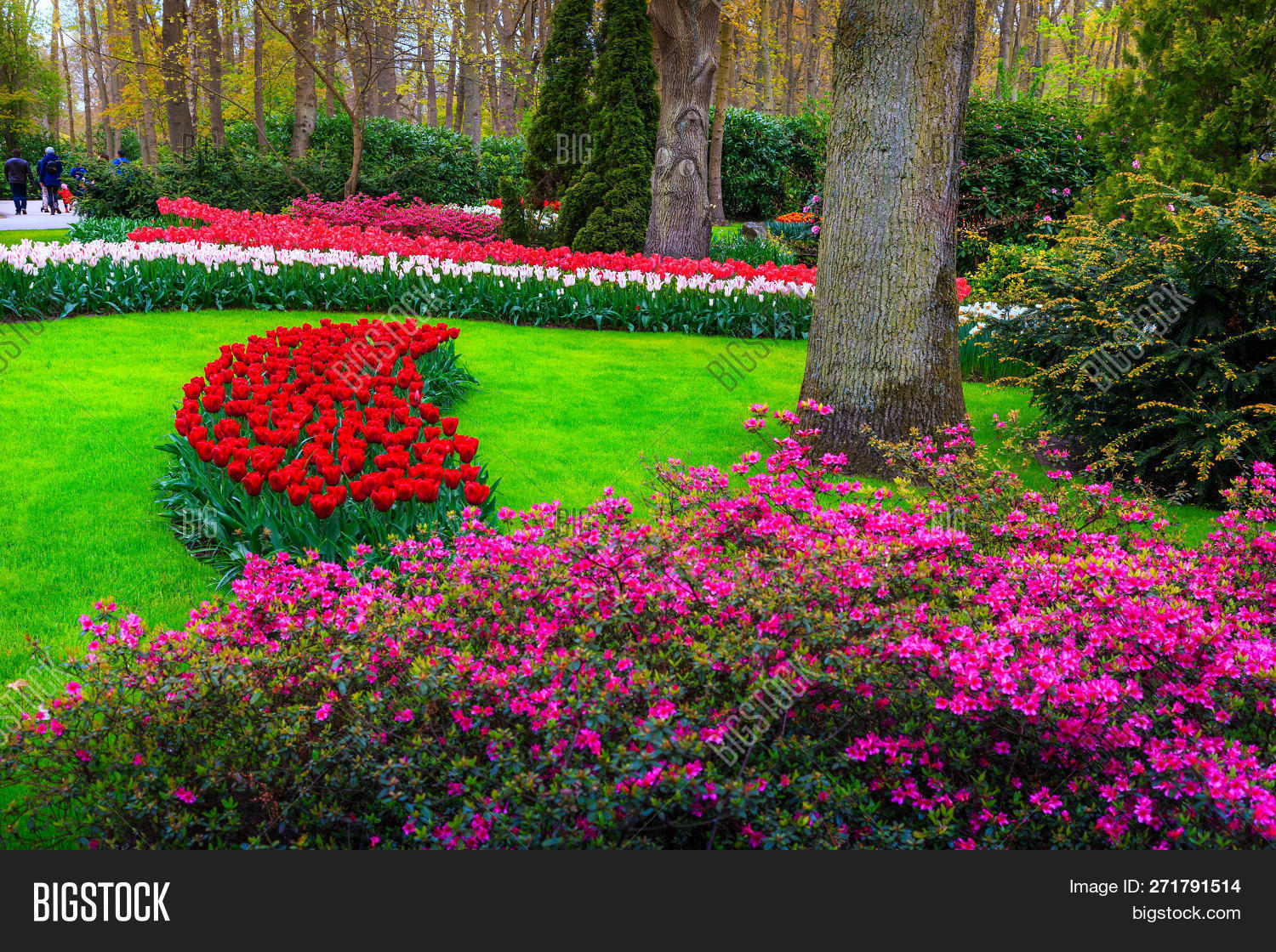Beautiful Spring Image & Photo (Free Trial) | Bigstock
