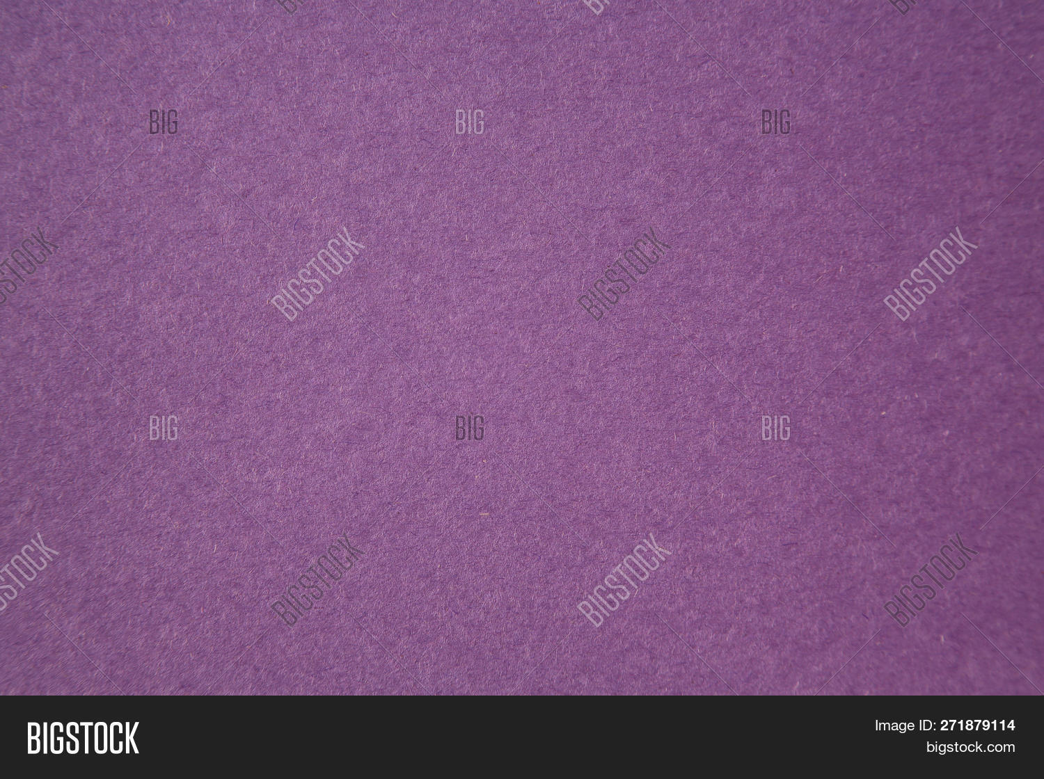 Purple Colored Image & Photo (Free Trial) | Bigstock