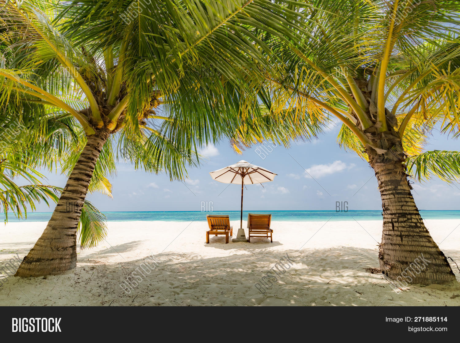 Exotic Landscaping With Palms