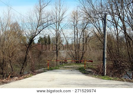 Overgrown Road Image & Photo (Free Trial) | Bigstock