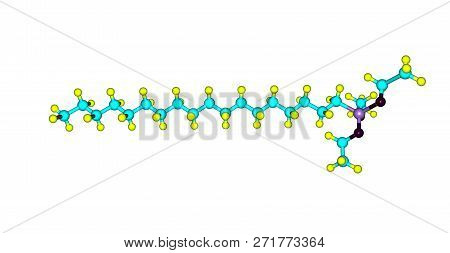 Image & Photo (Free Trial) | Bigstock