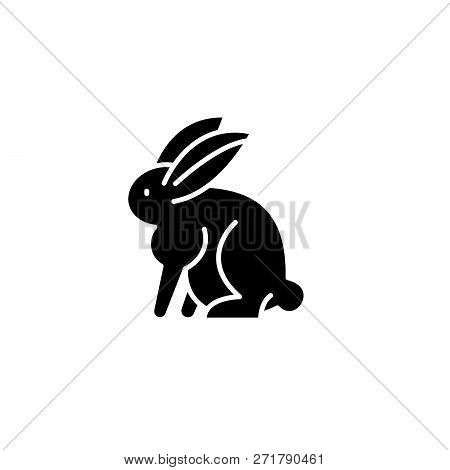 Tortoise And Hare Images, Illustrations & Vectors (Free) - Bigstock