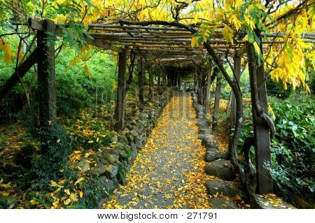Japanese Garden Arbor Image & Photo (Free Trial) | Bigstock