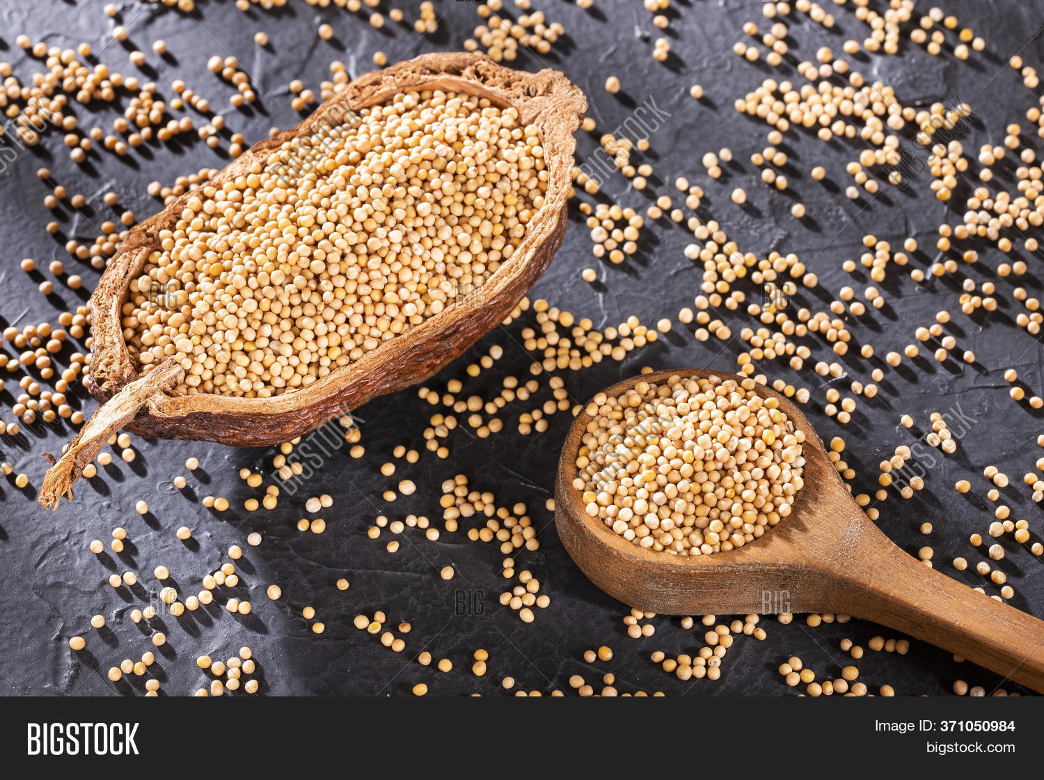 Sinapis Alba - Yellow Image & Photo (Free Trial) | Bigstock