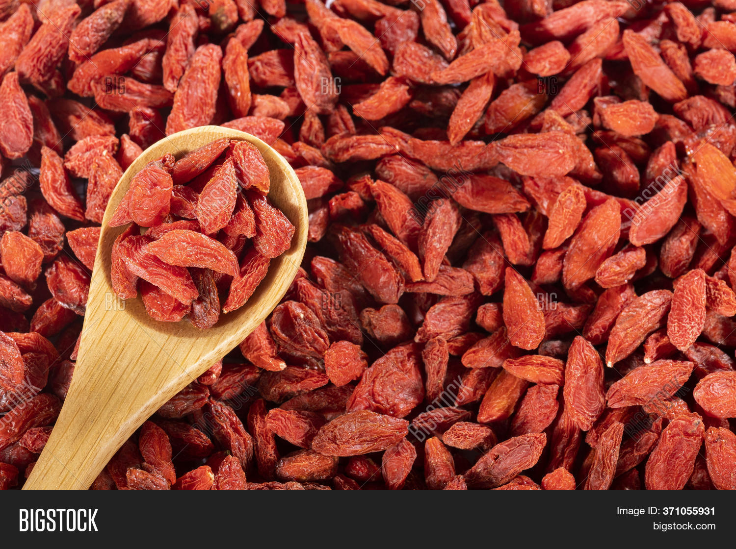 Lycium Barbarum - Image & Photo (Free Trial) | Bigstock