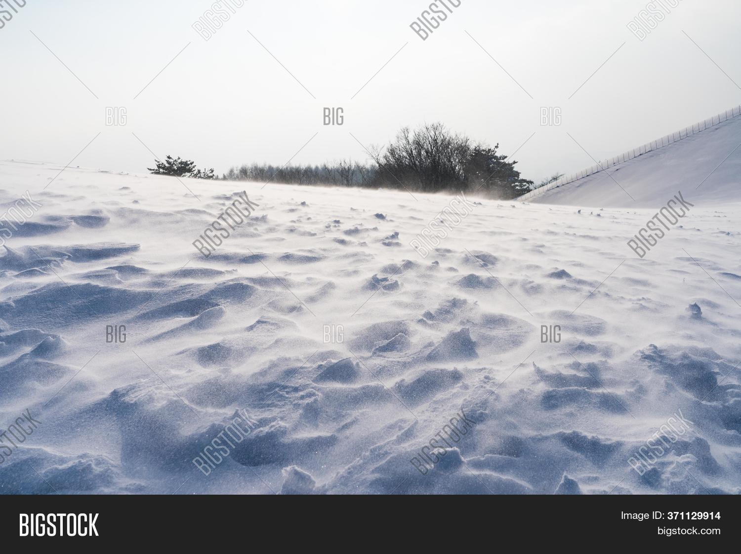 Windy Winter Snow Image & Photo (Free Trial) | Bigstock