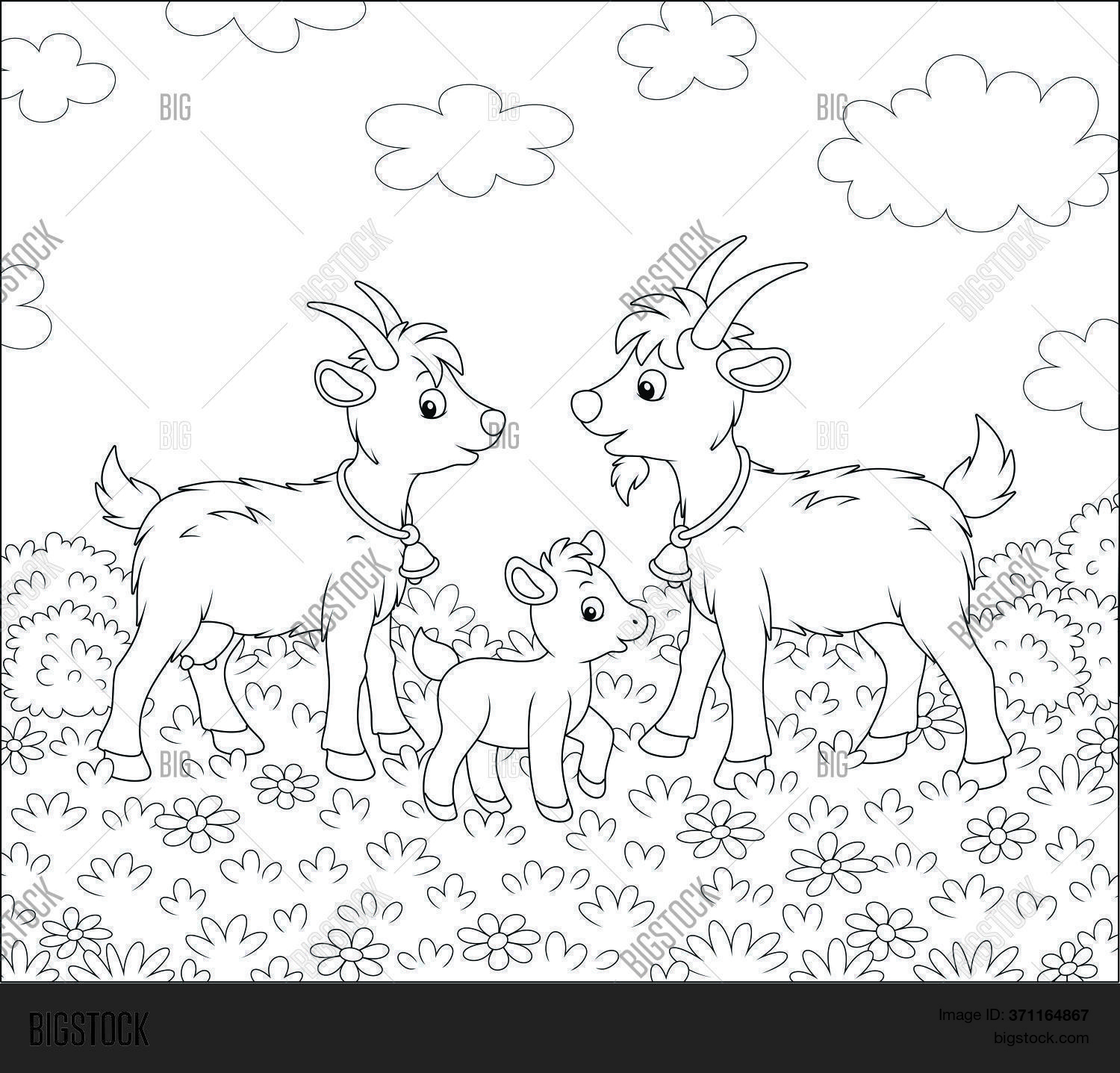 Small Kid Nanny Goat Vector & Photo (Free Trial) | Bigstock