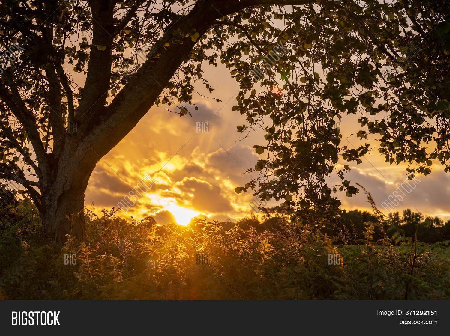 Stunning Colorful Image & Photo (Free Trial) | Bigstock