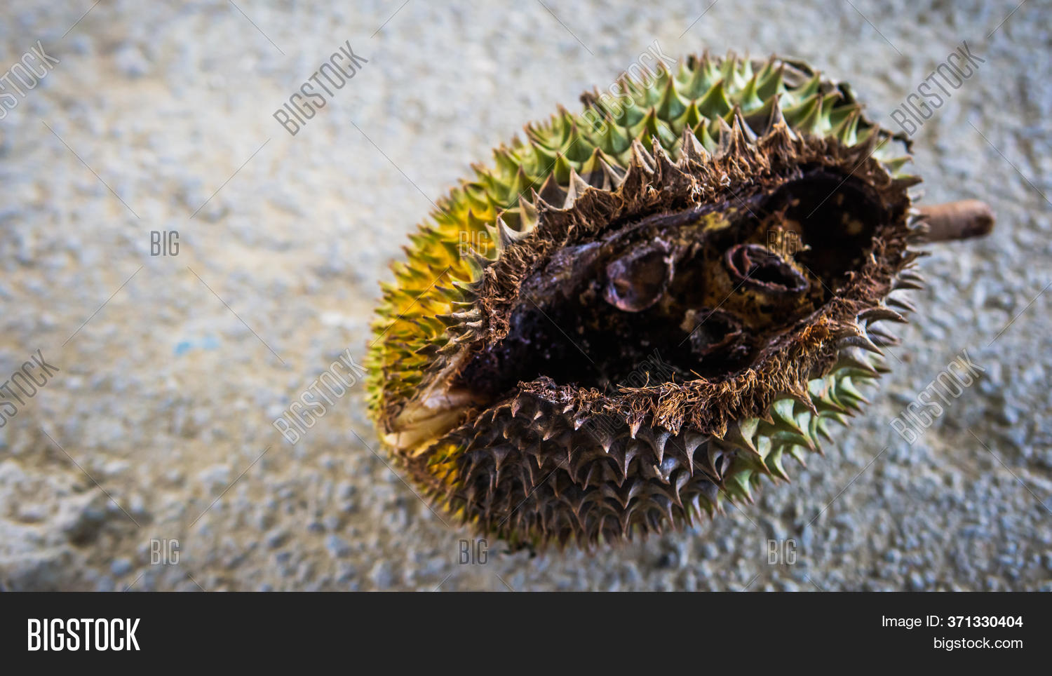 Close Detail View Image & Photo (Free Trial) | Bigstock