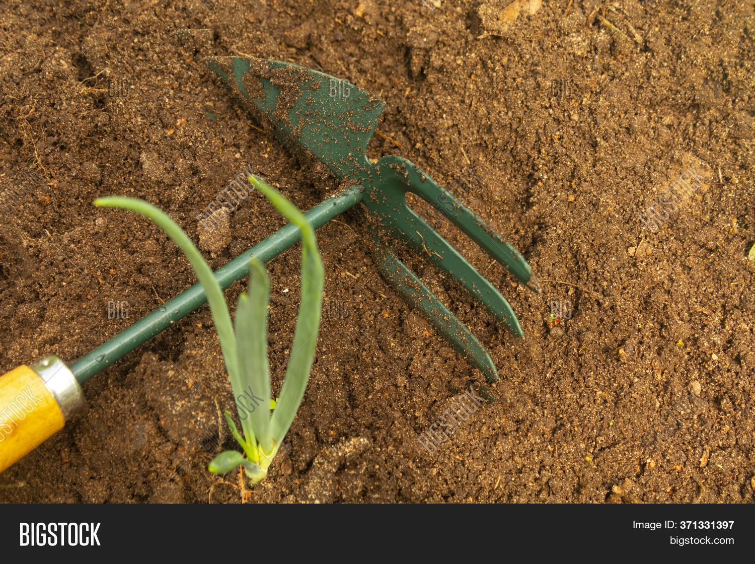 Hoe Hand Tools Used Image & Photo (Free Trial) | Bigstock