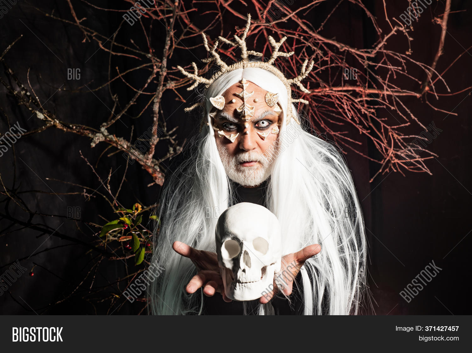 Horned Devil Skull - Image & Photo (Free Trial) | Bigstock