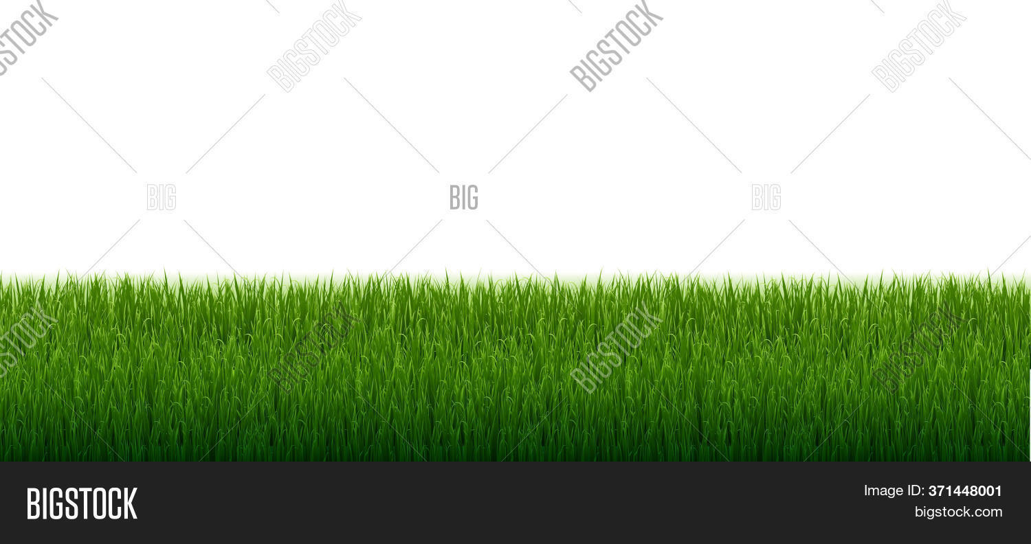 Green Grass Border Image & Photo (Free Trial) | Bigstock