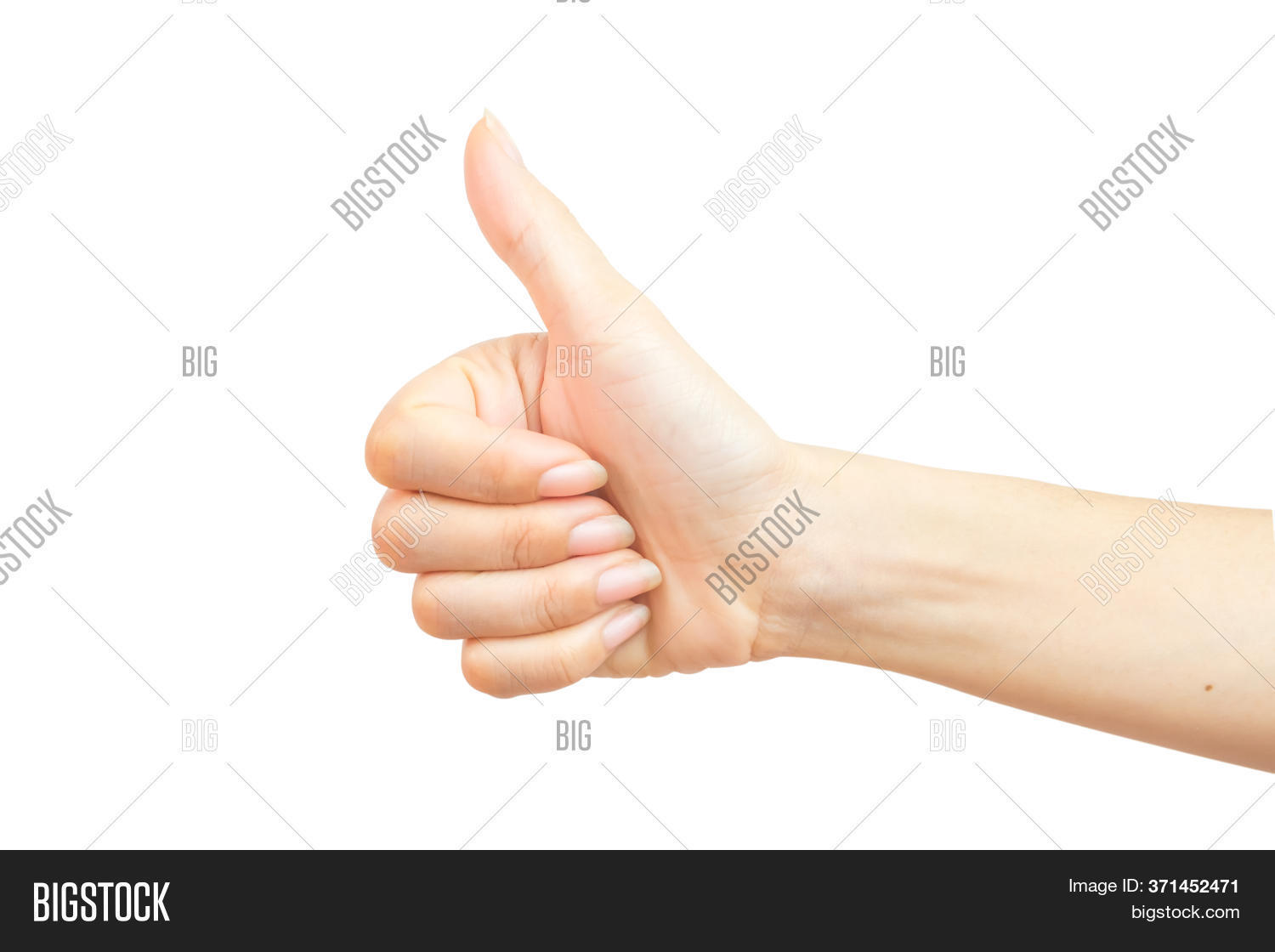 Woman's Hand Lifted Image & Photo (Free Trial) | Bigstock