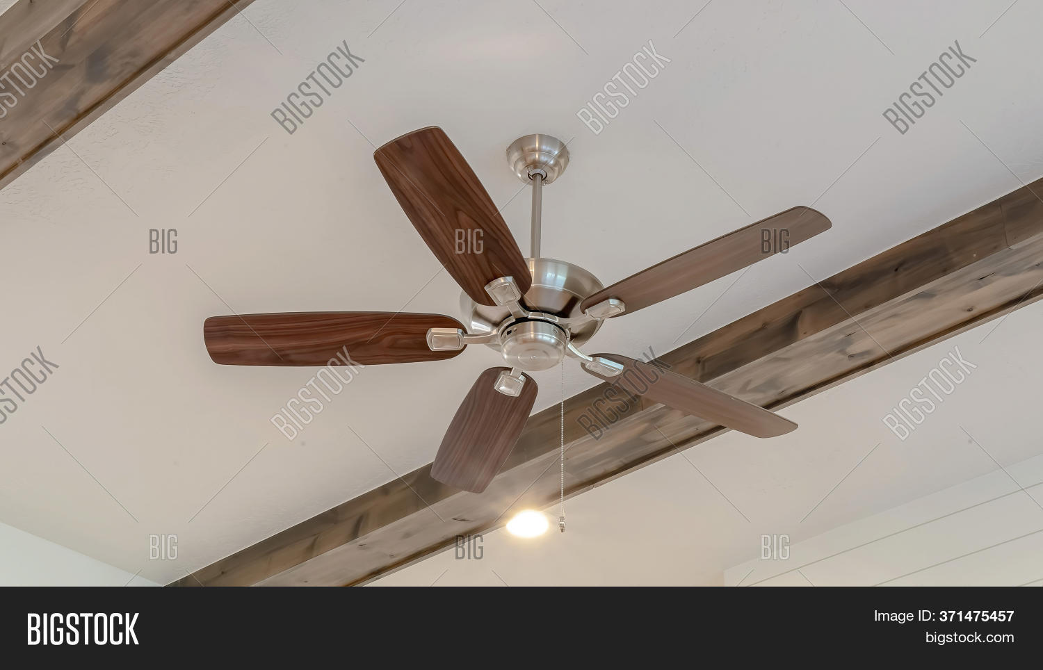 Panorama Ceiling Fan Image & Photo (Free Trial) | Bigstock