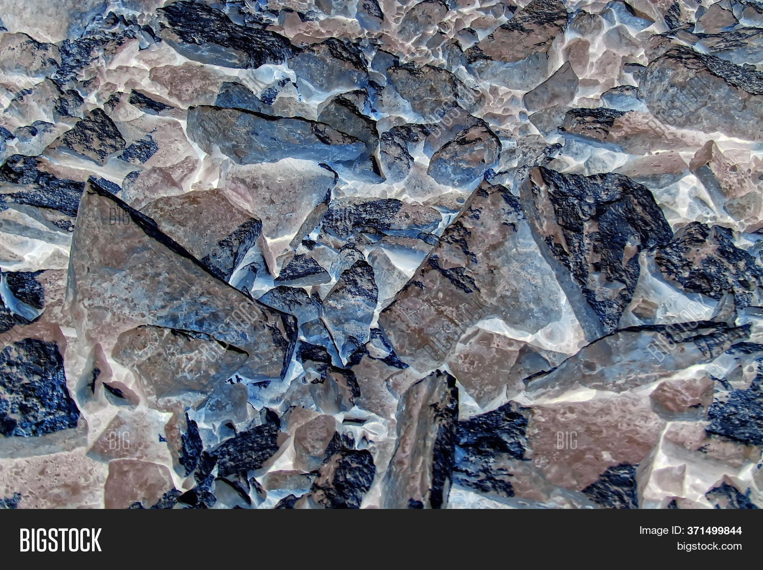 Shell Stone Texture. Image & Photo (Free Trial) | Bigstock