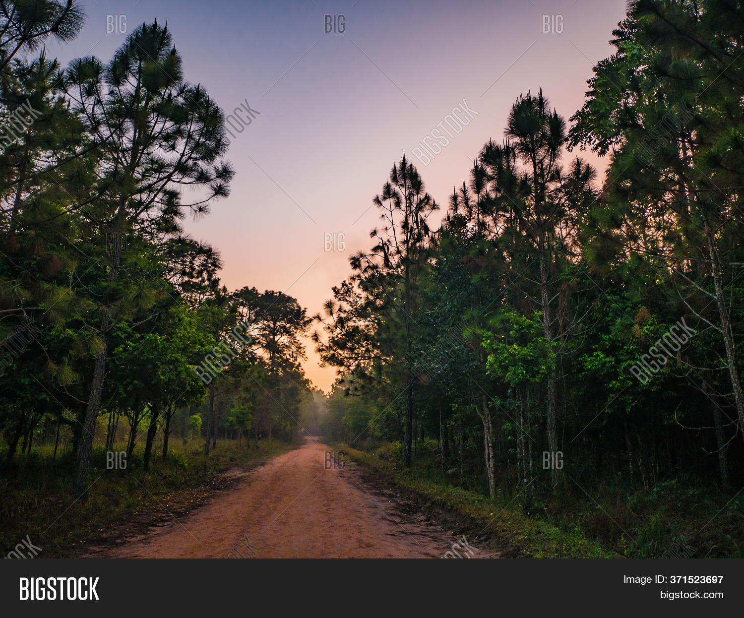 Nature Trail Morning Image & Photo (Free Trial) | Bigstock