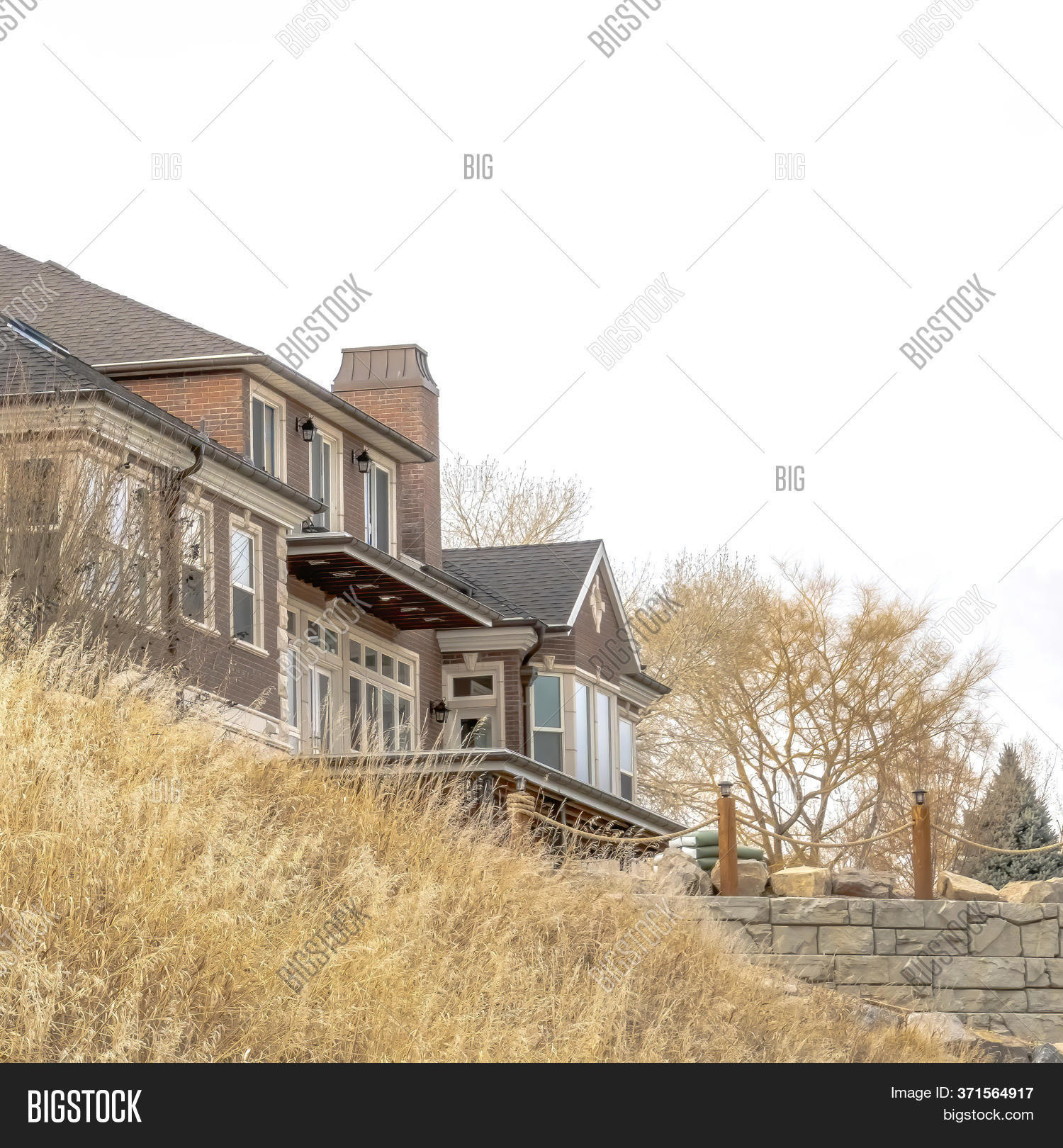 Square Crop Grassy Image & Photo (Free Trial) | Bigstock