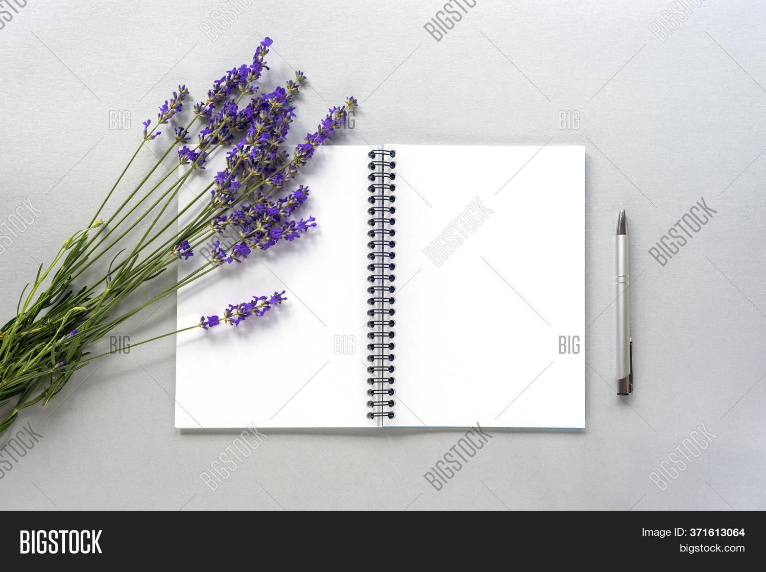 Blank Spiral Notepad Image & Photo (Free Trial) | Bigstock