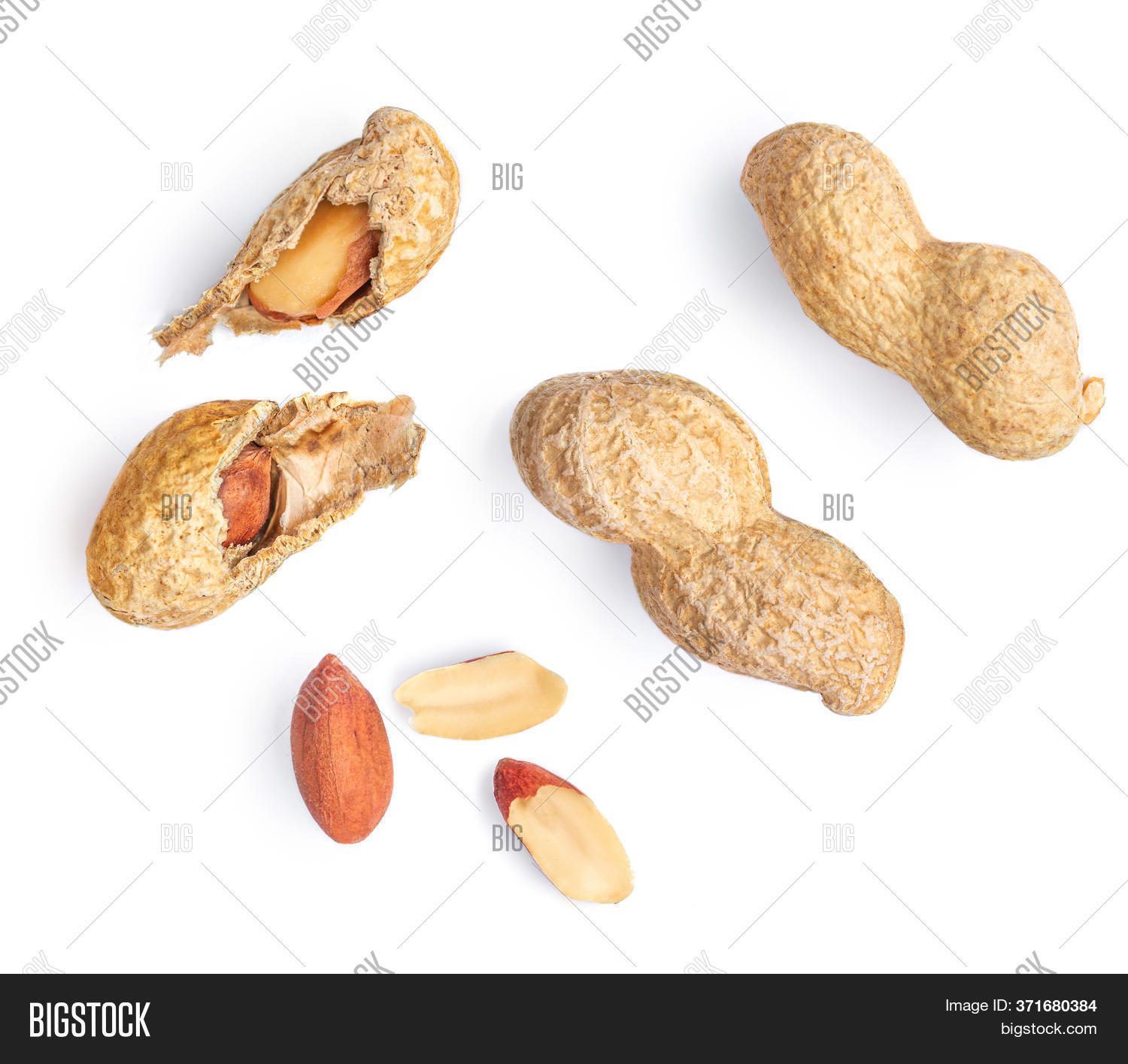 Peanuts Isolated On Image & Photo (Free Trial) | Bigstock